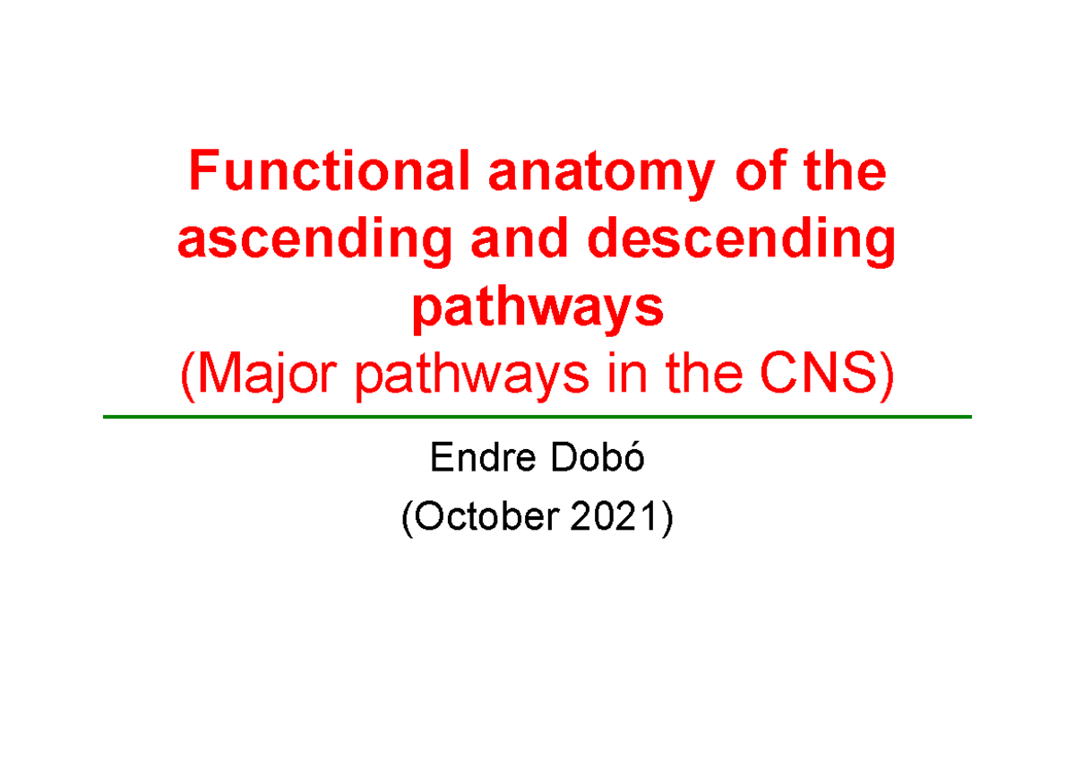 Seminar 1 (2021) - Neuroanatomy basics - Functional anatomy of the ...