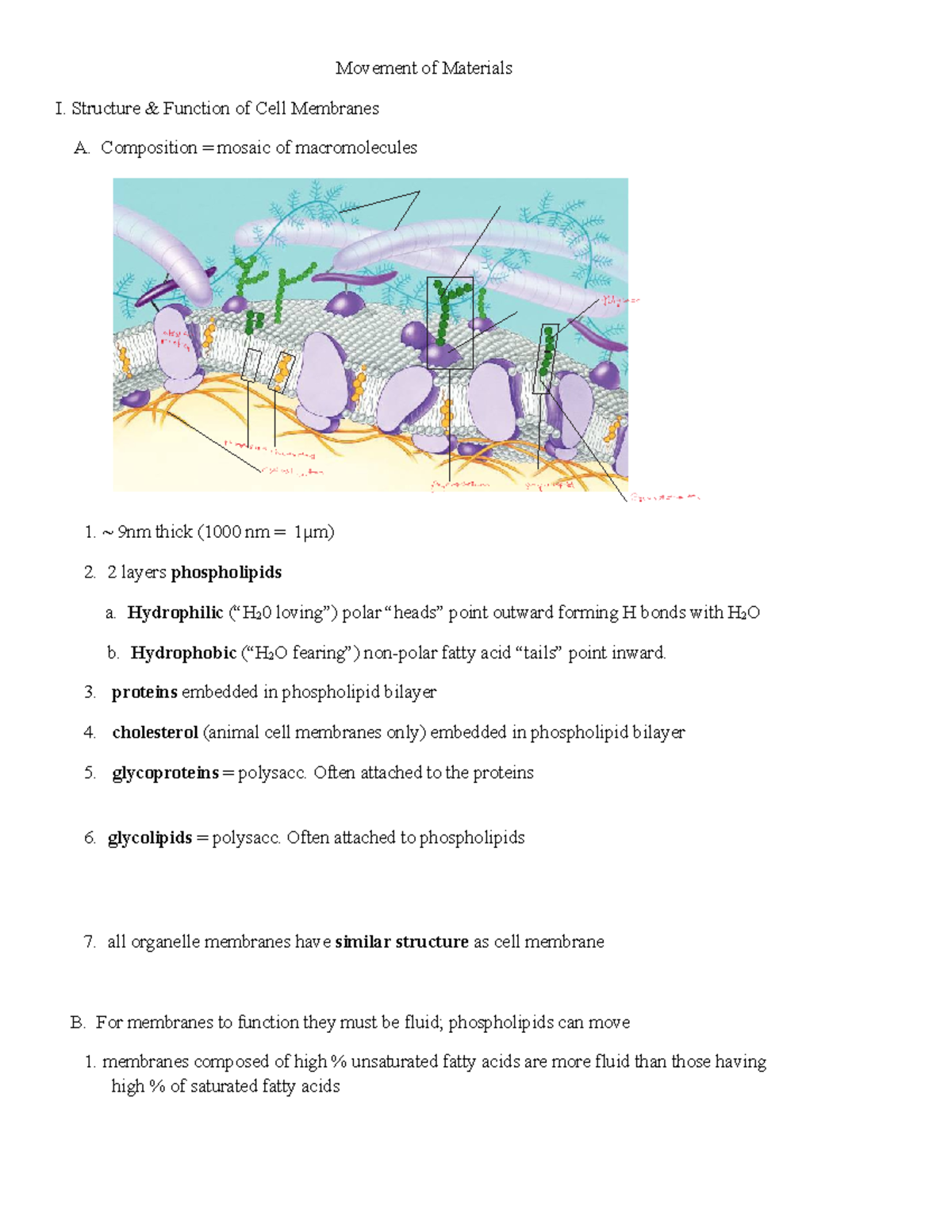 Movement lecture outline s21 - Movement of Materials I. Structure ...