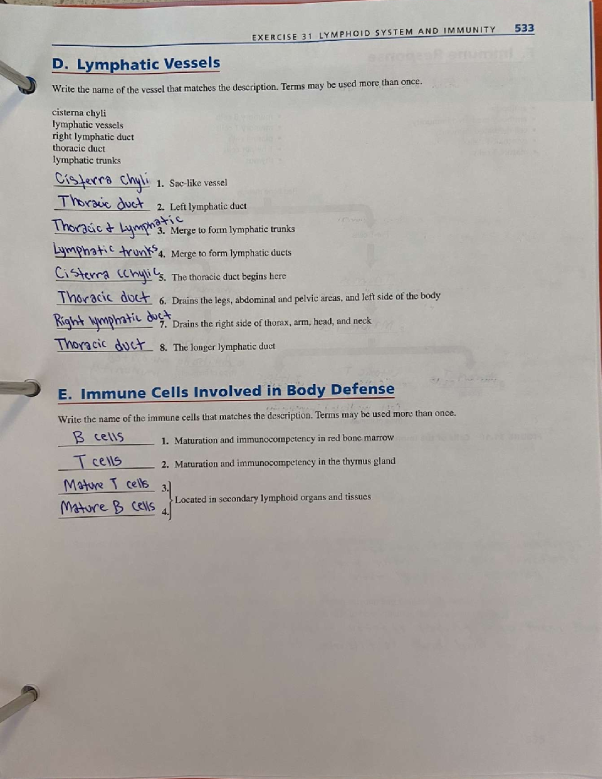 AP2 Exercise 31 Answers Page 3 - BIO 173 - Studocu