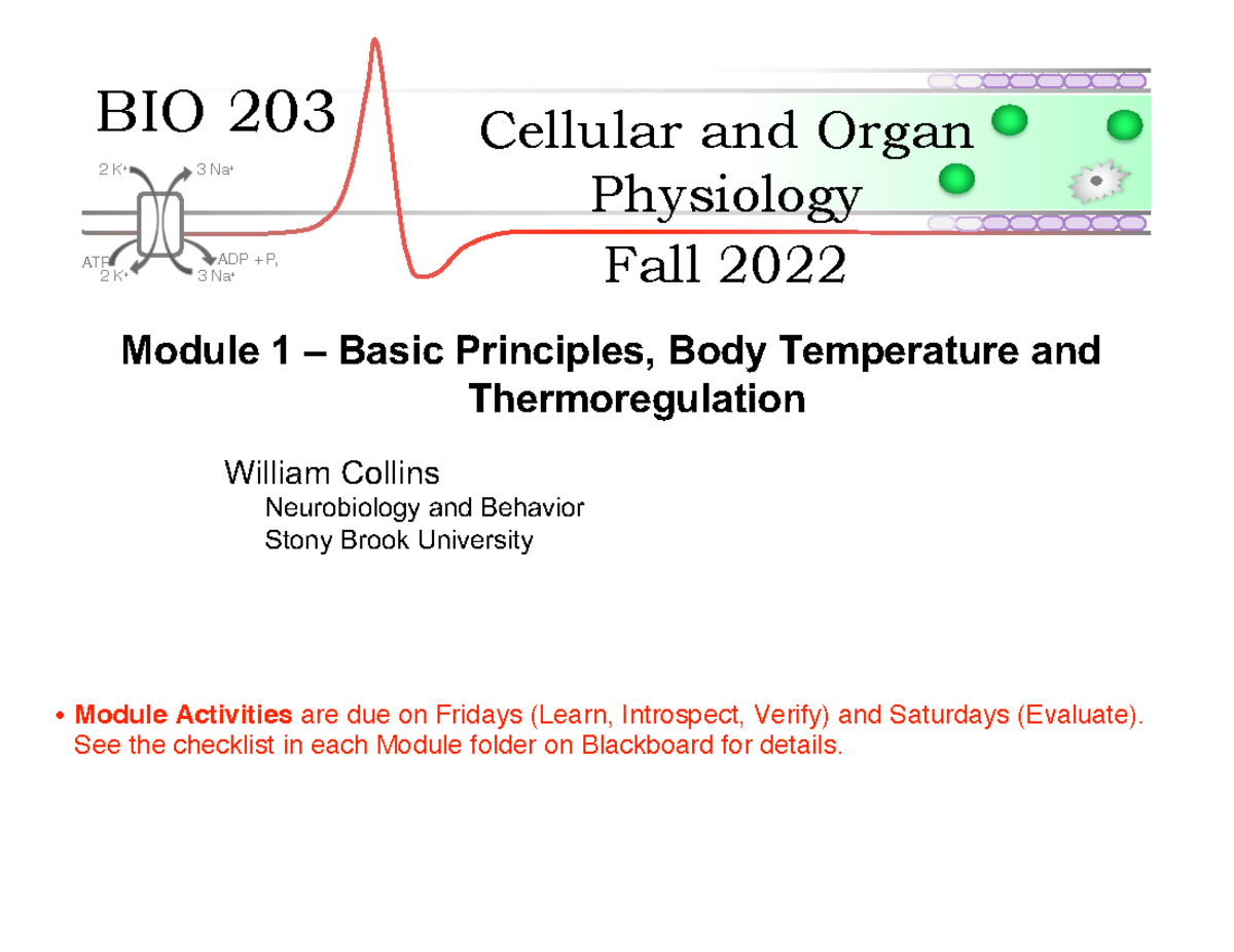 Module 1 - Basic Principles & Thermoregulation (203 F22) POST 2 - 2 K+ 3 Na+ ATP ADP + Pi 2 K+ 3 ...