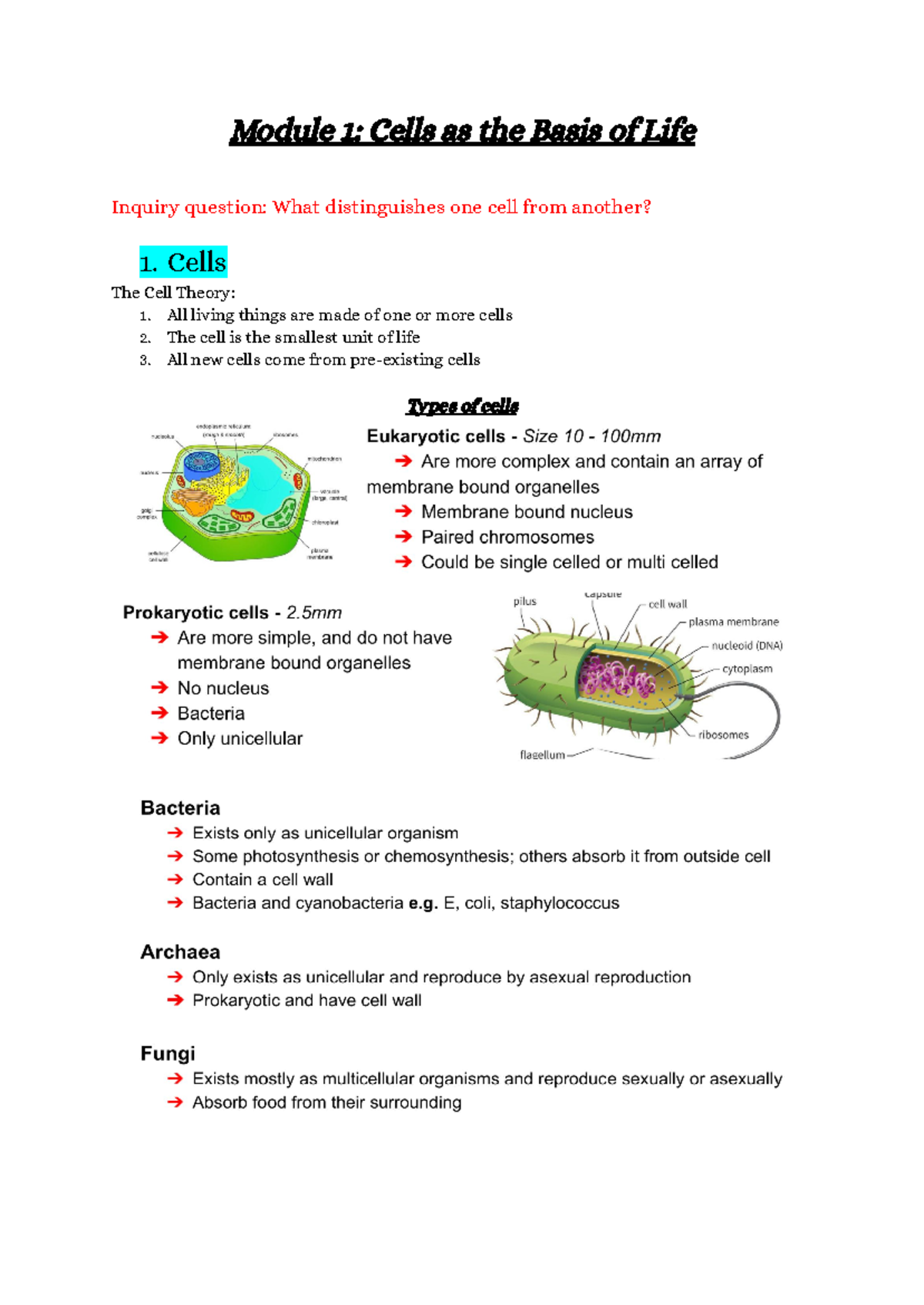 Study notes: Biology (M1) - Module 1: Cells as the Basis of Life ...