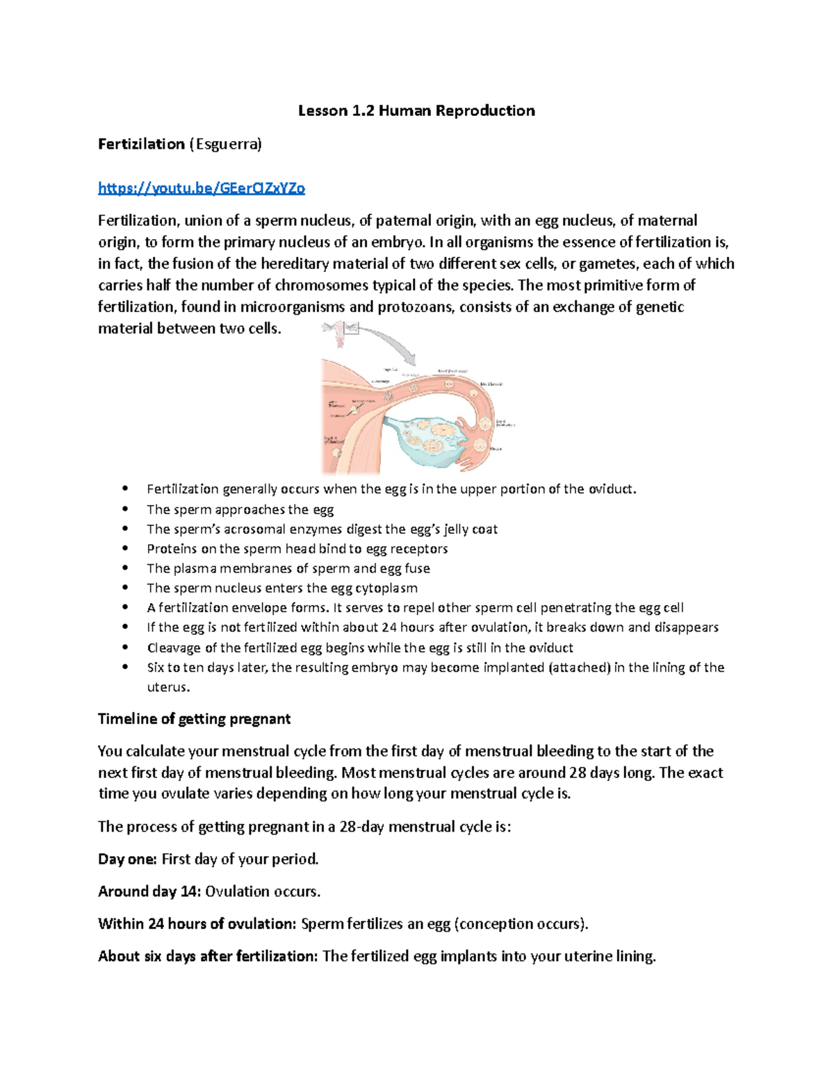 Lesson 1.2 Human Reproduction - Lesson 1 Human Reproduction ...