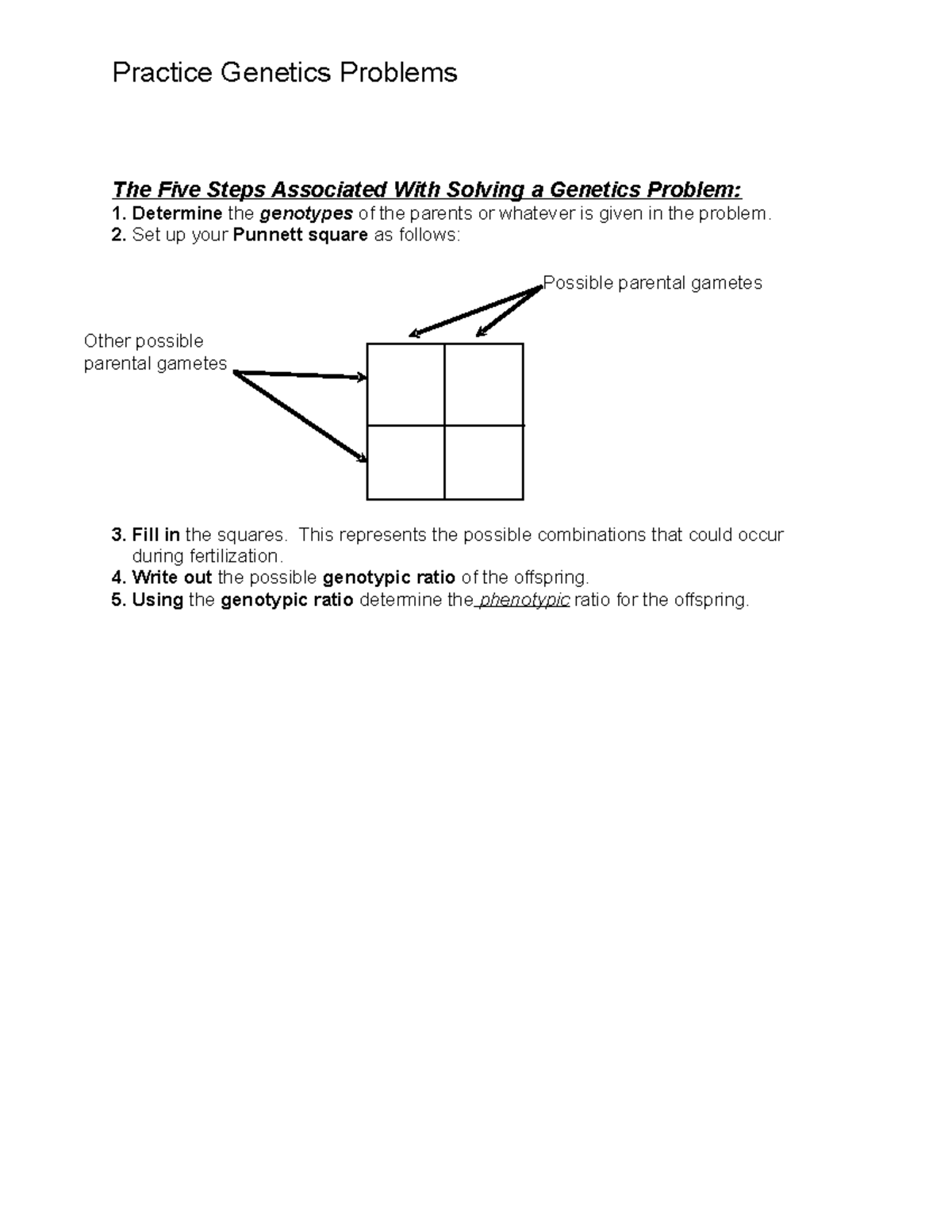 Genetics Practice Problems - The Five Steps Associated With Solving a Genetics Problem ...