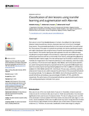 A multilevel features selection framework for skin lesion classifcation ...