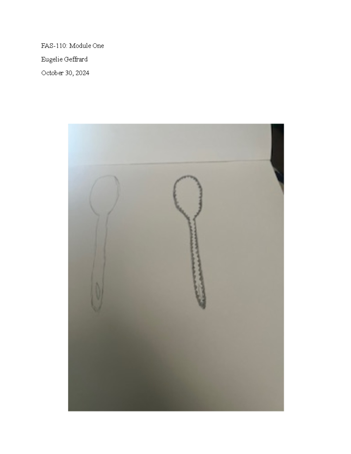 FAS-110 WK 1 - First drawing - FAS110 - FAS-110: Module One Eugelie ...
