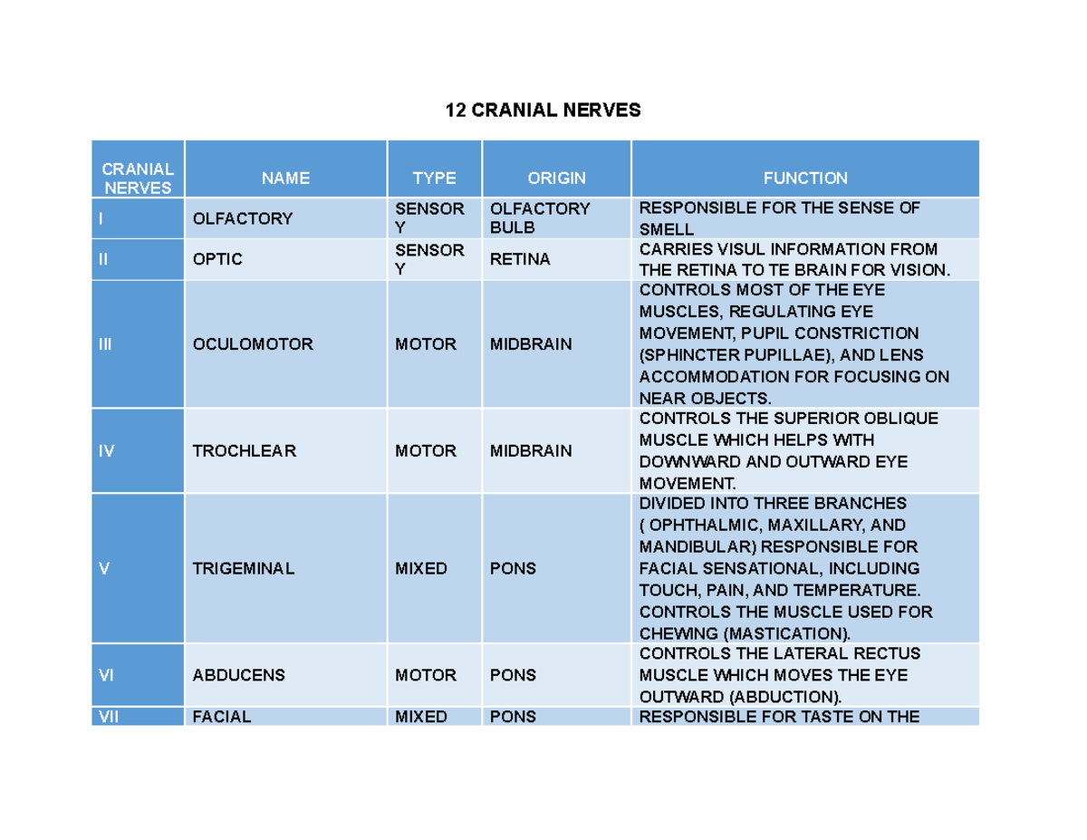 12-cranial-nerves - JJJJ - 12 CRANIAL NERVES CRANIAL NERVES NAME TYPE ...