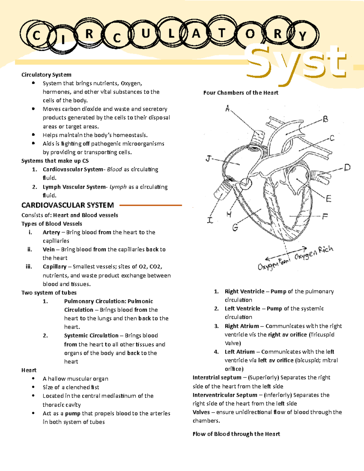 Circulatory System - Circulatory System System that brings nutrients ...