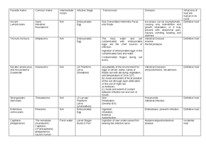 Rh Terminology Worksheet answers - Rh Terminology Worksheet I – Fill in ...