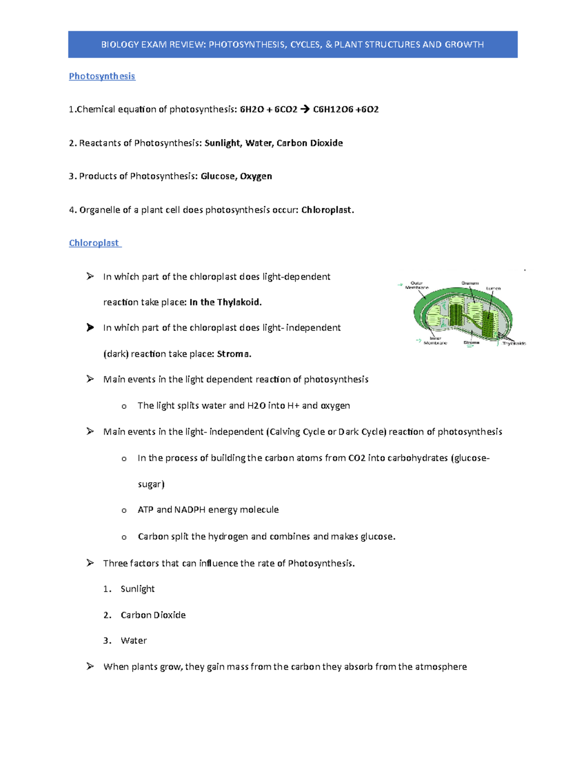 Biology Review- Photosynthesis, Cycles, & Plant Structures and Growth ...