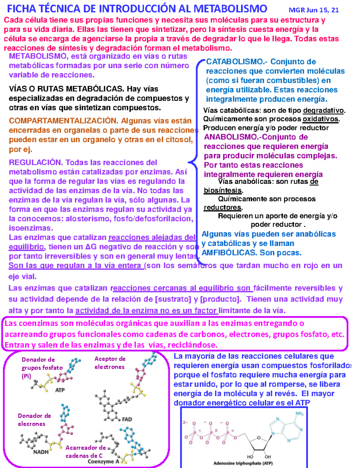Fich Tec Introduccion AL Metabolismo - FICHA TÉCNICA DE INTRODUCCIÓN AL ...