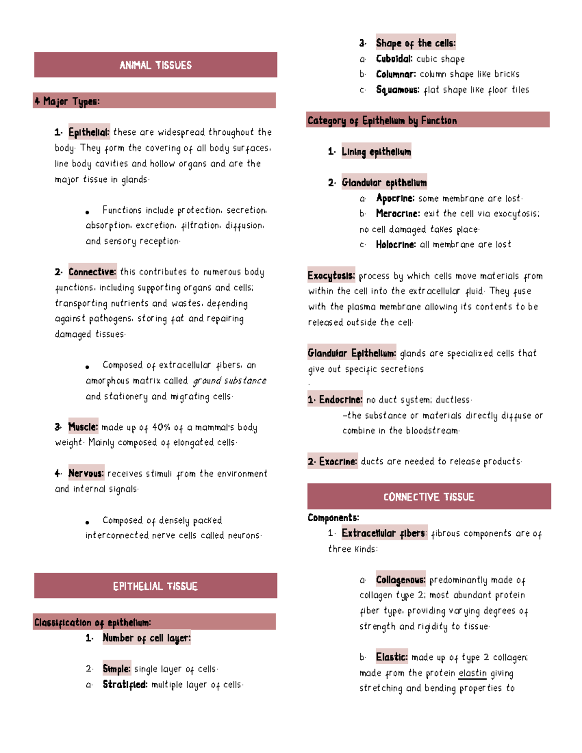 Anaphy 02 Animal Tissue - ANIMAL TISSUES 4 Major Types: Epithelial ...