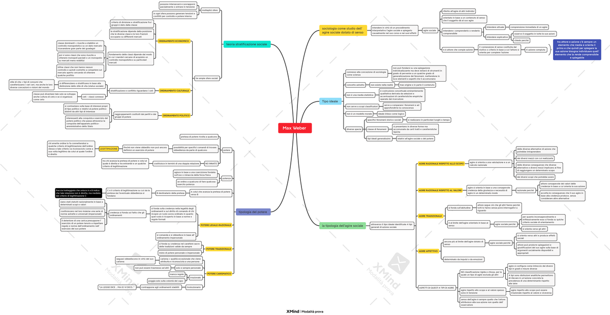 Max Weber - Osservare il mondo sociale. Introduzione alle teorie ...