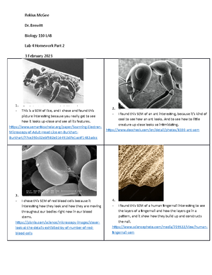 Lab 8 Handout - Diversity and Ubiquity of Microbes - 5 Activity 1 ...