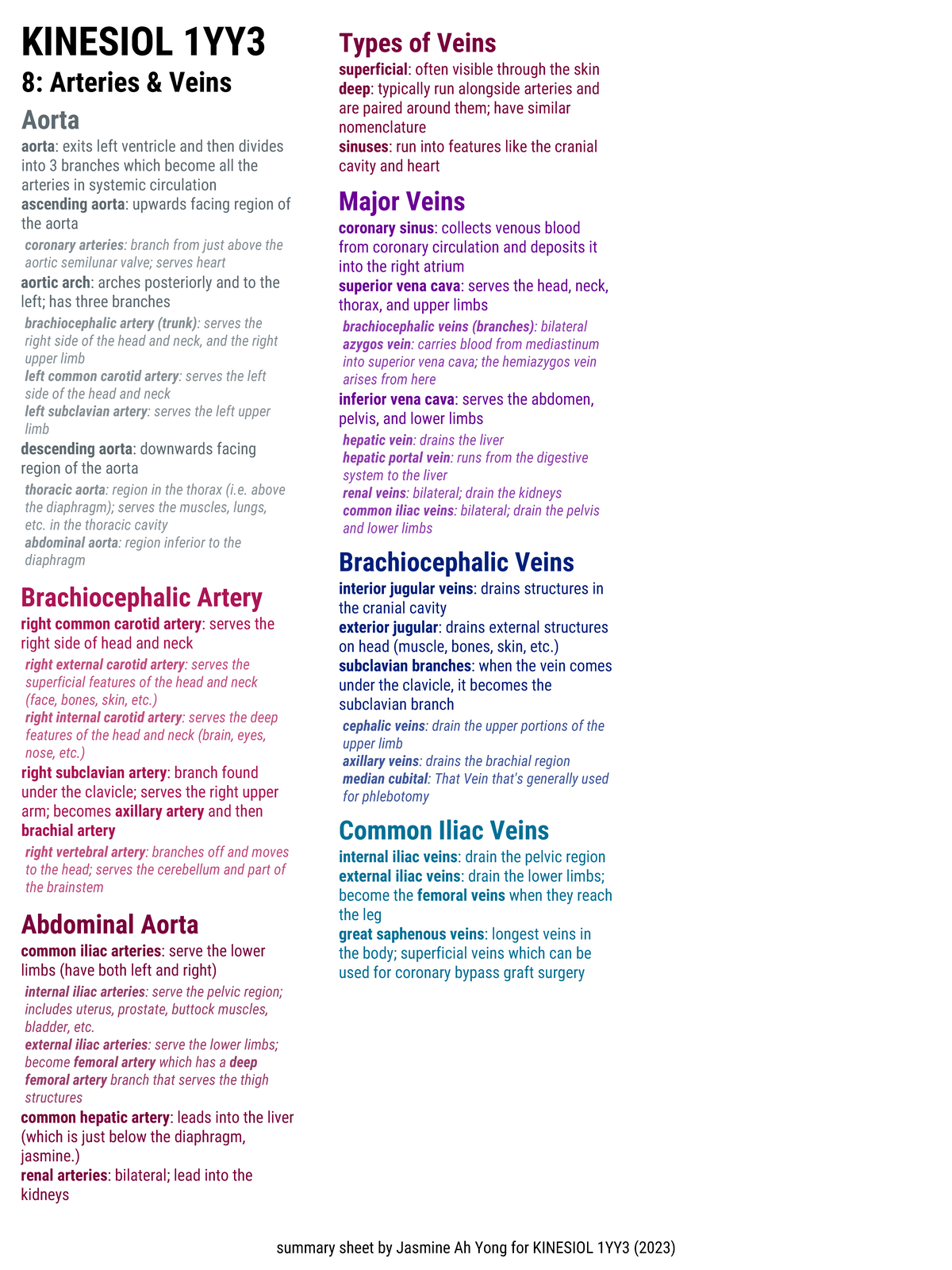 kinesiol test 3 - 8: Arteries & Veins KINESIOL 1YY Aorta aorta: exits ...
