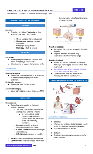 Skeletal-System-Notes - Skeletal System Word roots and combining forms ...