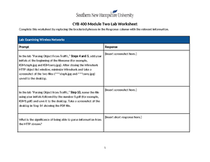CYB 400 Module Three Activity Network Assessment Approach - Module ...
