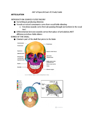 Anatomy and Physiology of Speech Exam #1 Study Guide - V INTRODUCTION ...
