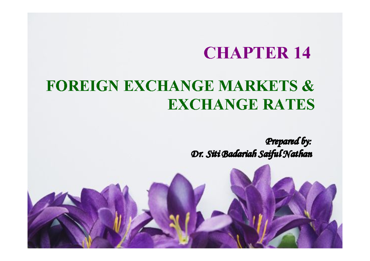 Chapter 14 (latest) - Forex - CHAPTER 14 FOREIGN EXCHANGE MARKETS ...