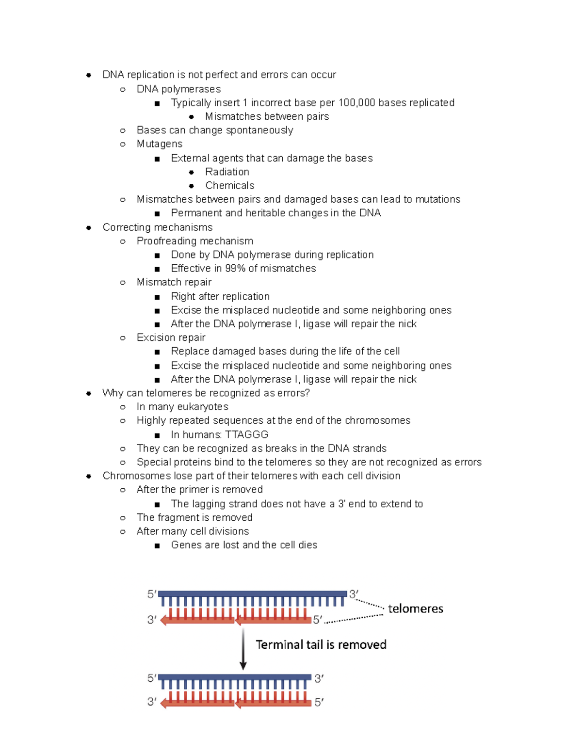 134 Errors In Dna Can Be Repaired Dna Replication Is Not Perfect And