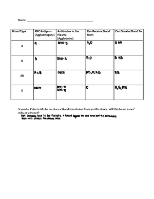 AP2-Lab-3 - A+P Lab on blood and the heart - BIOL 1085 - Studocu