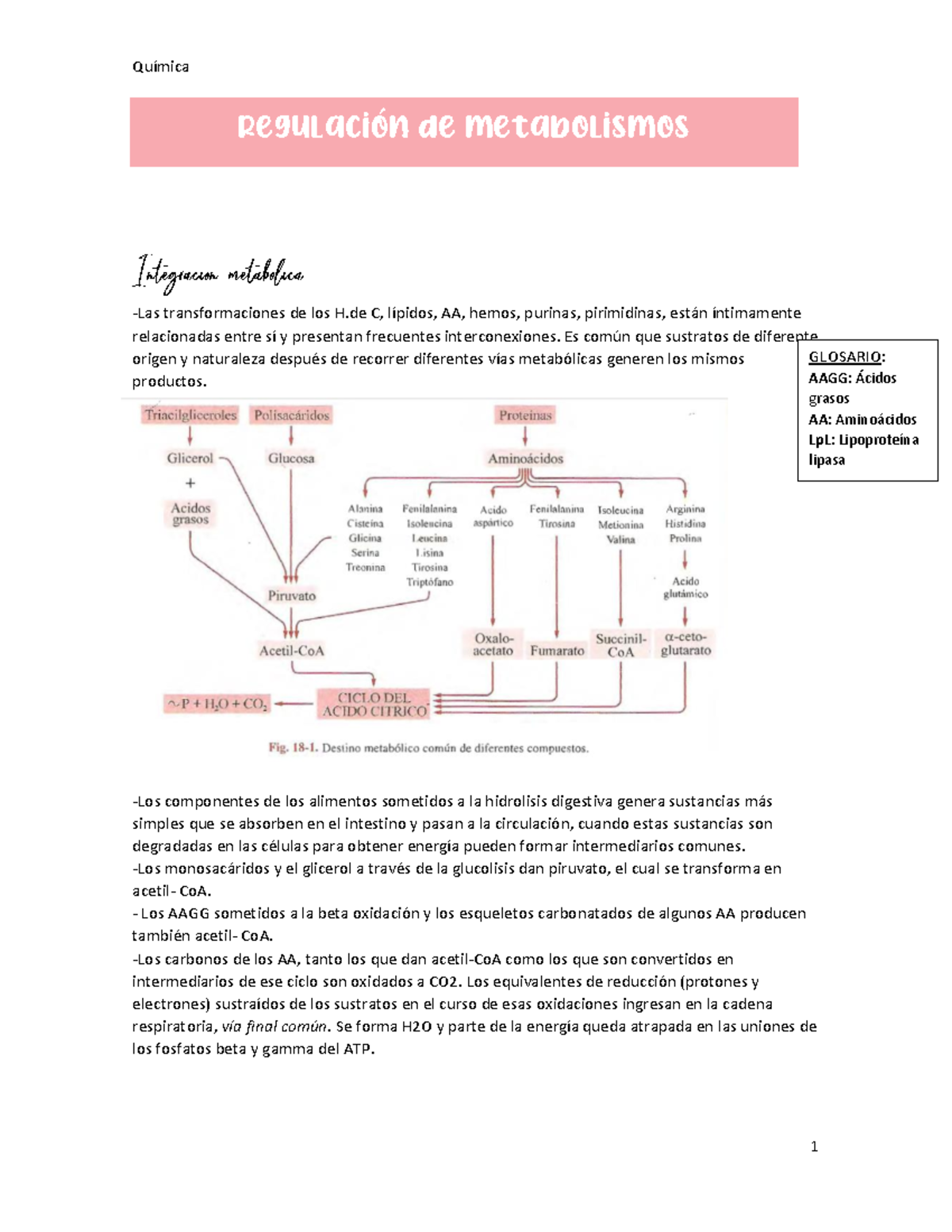 TTL-UABP1- Química- Regulación de metabolismos - Regulación de ...