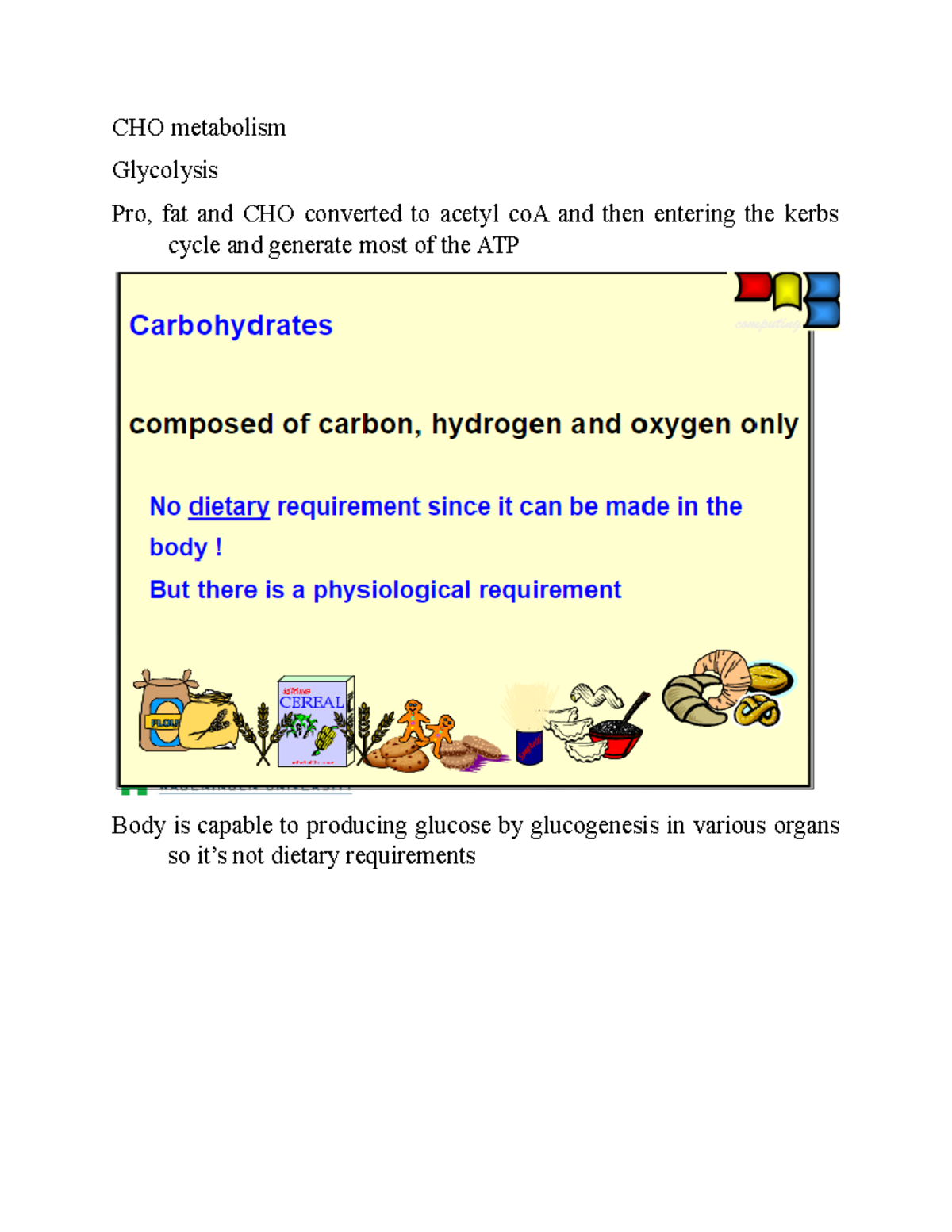 CHO metabolism - short review for the exam - CHO metabolism Glycolysis ...