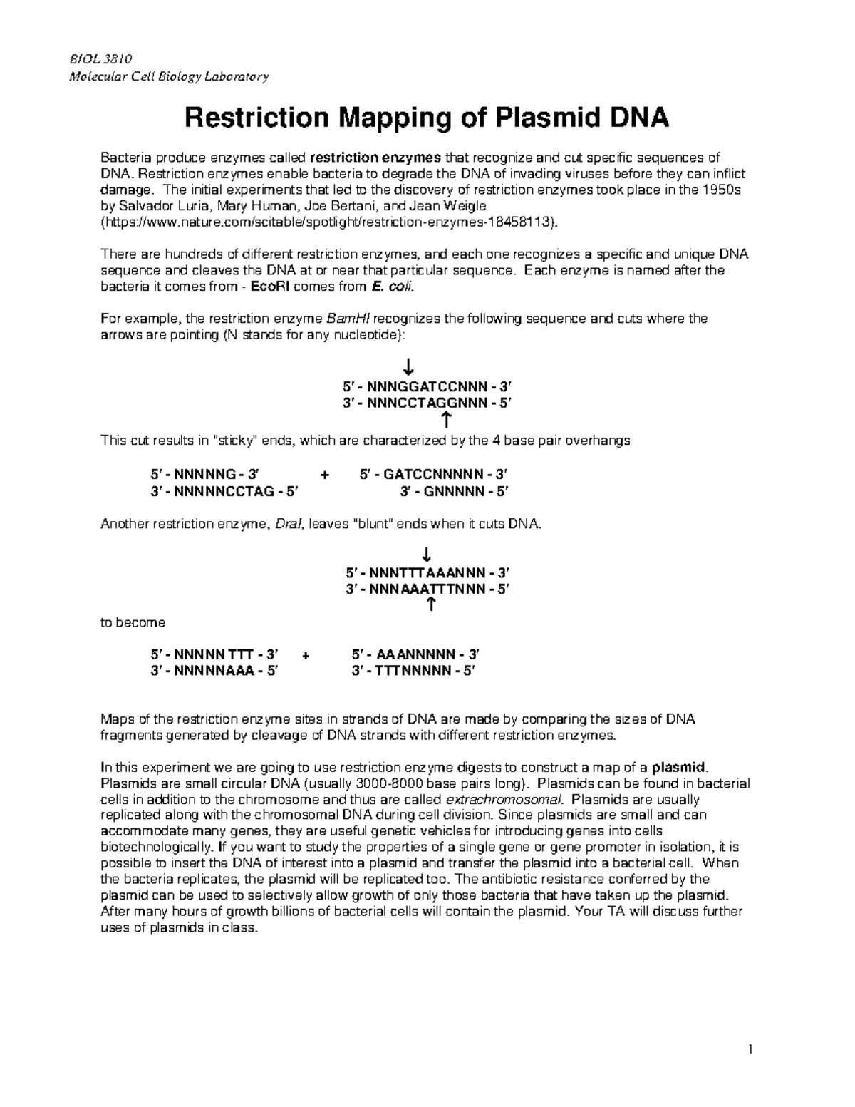 Restriction Digest Part A Spring 2019 - BIOL 3810 Molecular Cell ...