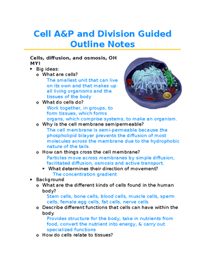 2023 ZOOL 2011 .17 - VB2 Lab Anatomical Scavenger Hunt - VB2 Lab ...