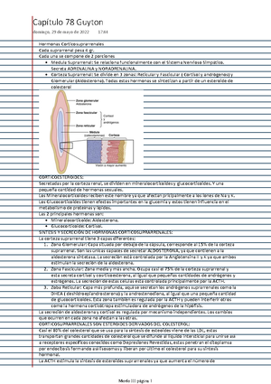 Hormonas Metabólicas Tiroideas CAP 77 Guyton - HORMONAS METABÓLICAS TIROIDEAS La glándula - Studocu