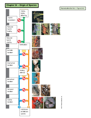 Bio342 CH16 Guide lecture notes - Name_ BIO-342 Chapter 16 Guide (pgs ...