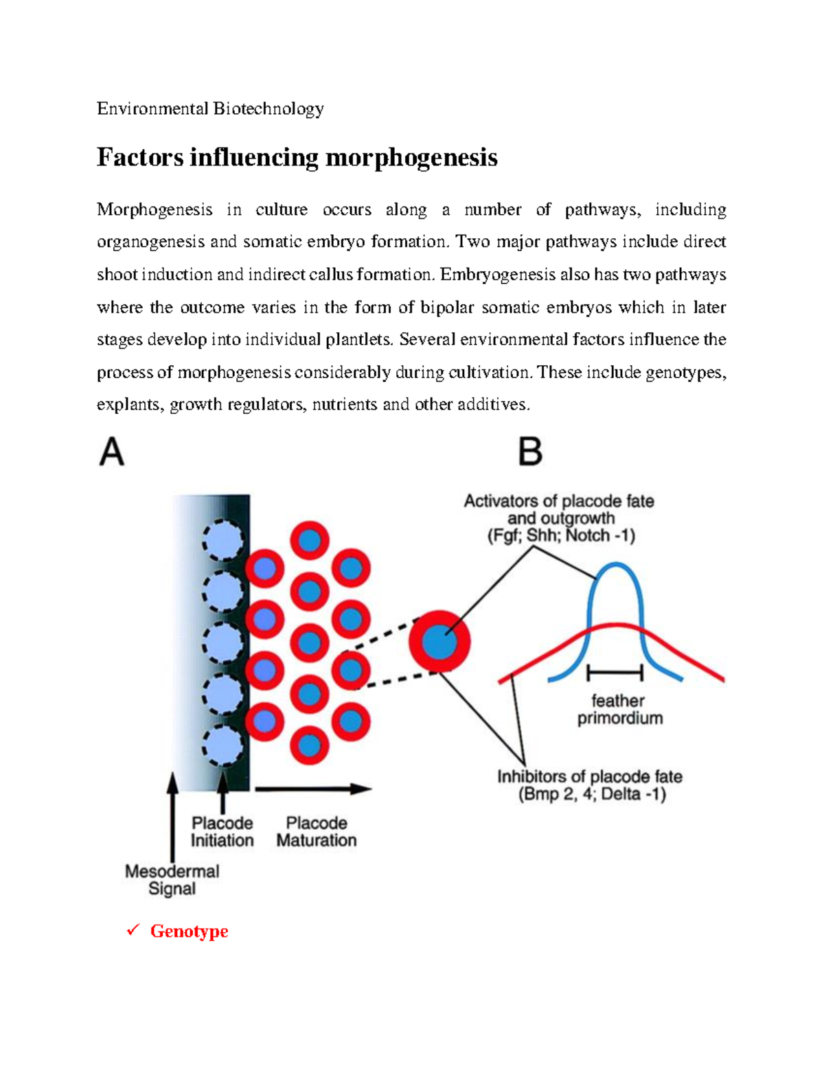 Factors influencing morphogenesis - Environmental Biotechnology Factors ...