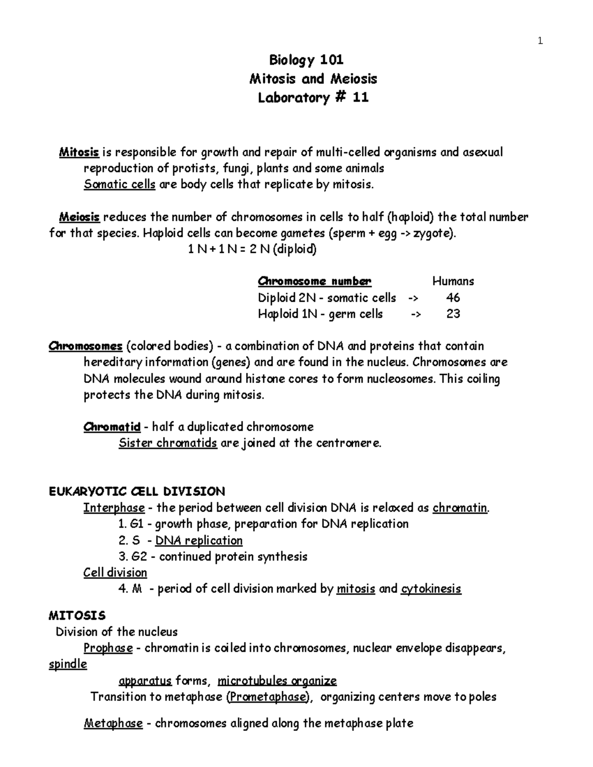 Lab 11 Mitosis And Meiosis Answers at Stephanie Felder blog