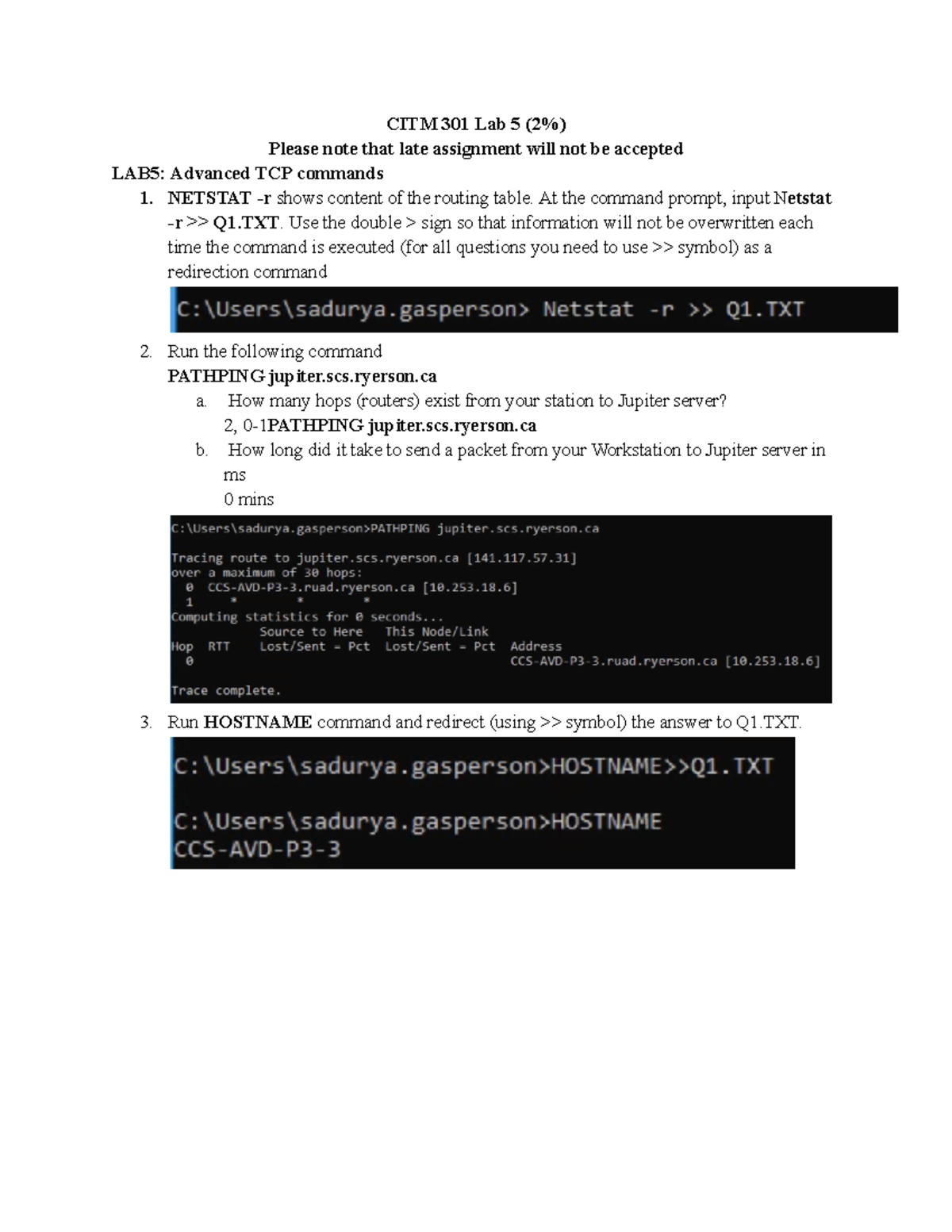 CITM 301 Lab 5 pdf - answers - CITM 301 Lab 5 (2%) Please note that ...
