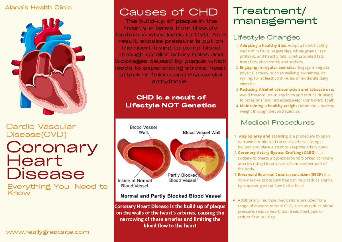 Part D: RLE learning assignment 3(non-infectious Disease) - Causes of ...