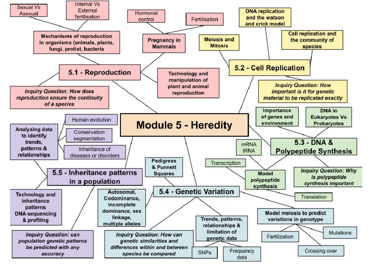 Module 5 Heredity mind map - Internal Vs Sexual Vs External Asexual ...