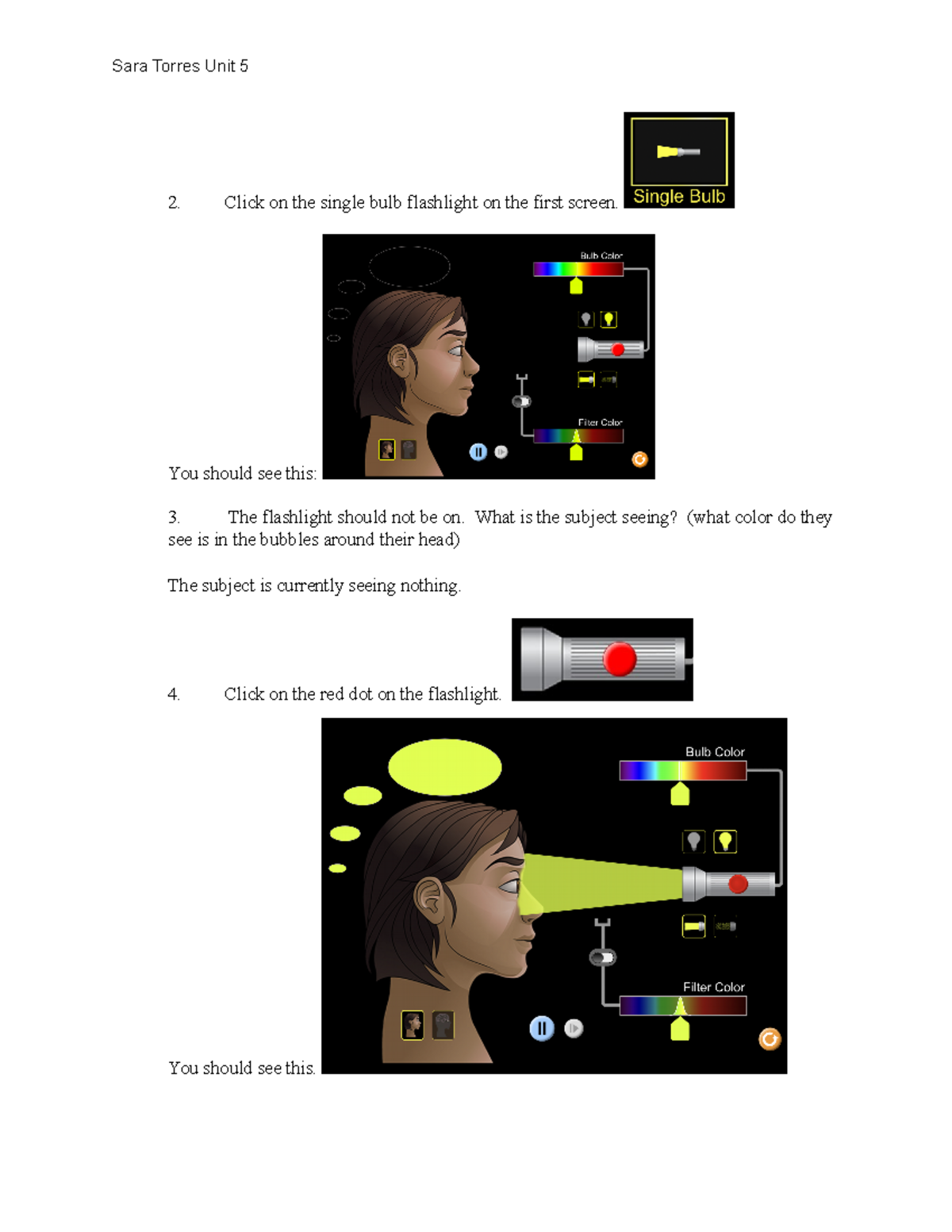 Light portlfoio .docx science - Click on the single bulb flashlight on ...