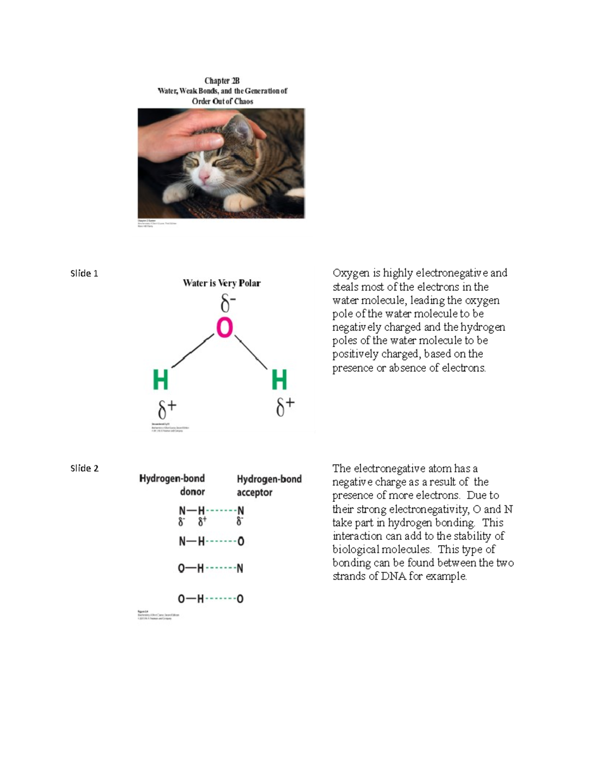 Biochem Chapter 2B Slides Notes - Slide 1 Oxygen is highly ...