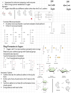 Biochemistry Carbohydrates PArt 4 - Reducing Sugars free anomeric ...