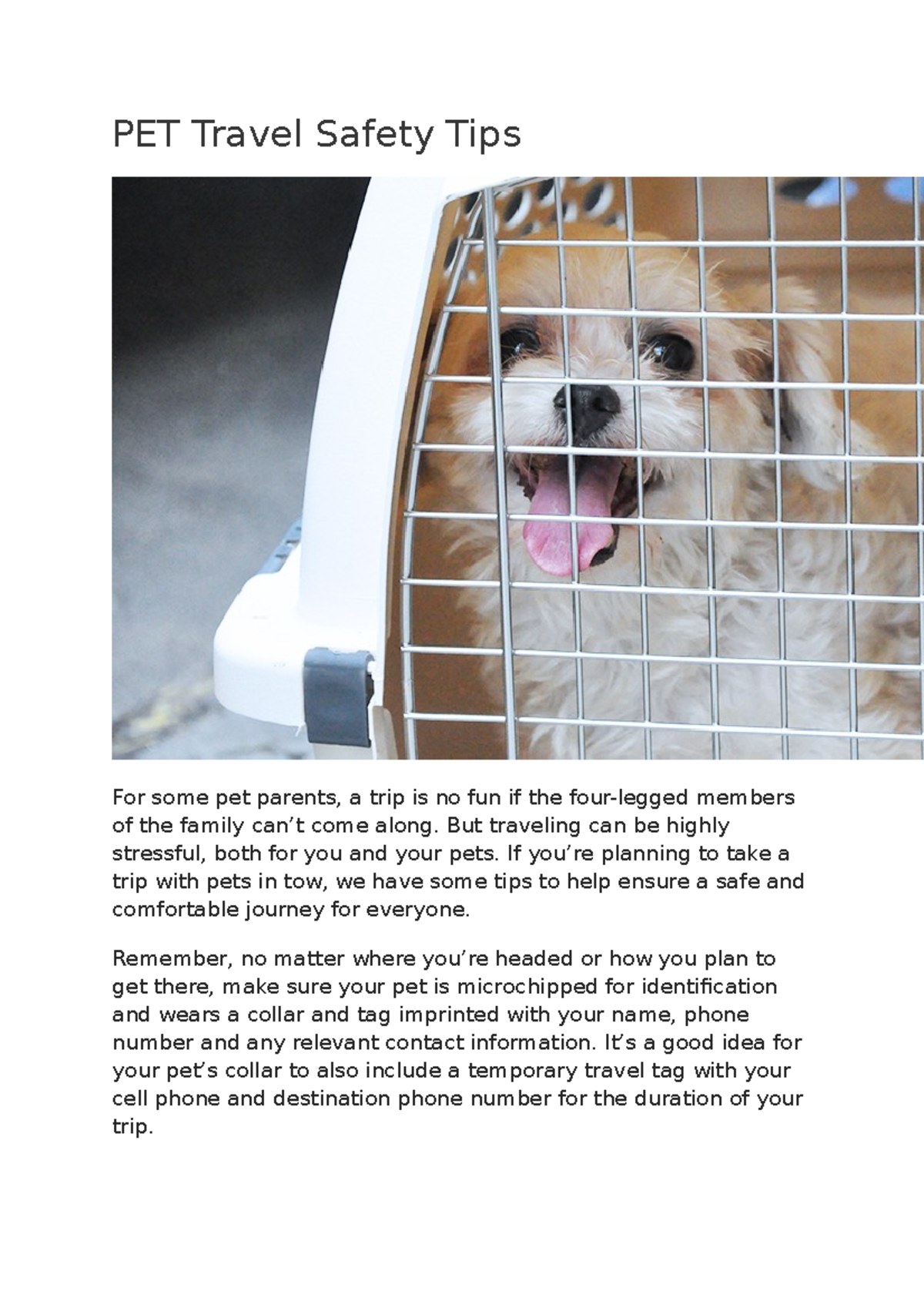 PET Travel Safety Tips Pet Care Details PET Travel Safety Tips For