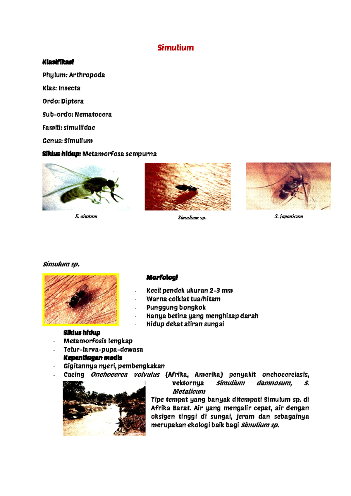 P13 Entomologi Medik-16-17 - Simulium Klasifikasi Phylum: Arthropoda ...