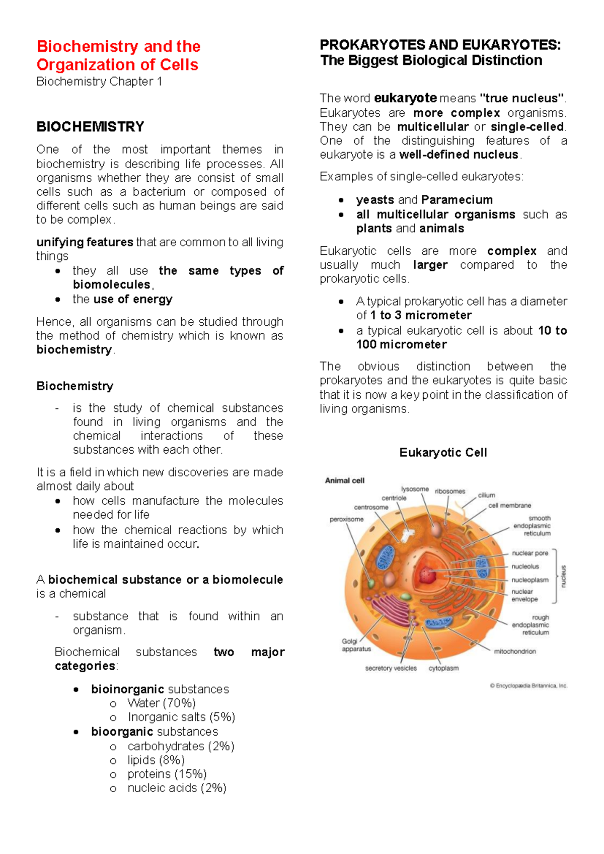 BIOCHEMISTRY CELL - Biochemistry and the Organization of Cells Biochemistry Chapter 1 ...