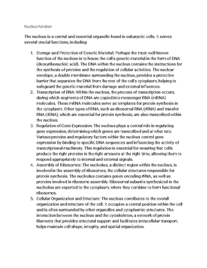 Cell wall function - Cell wall function Cell walls serve various ...