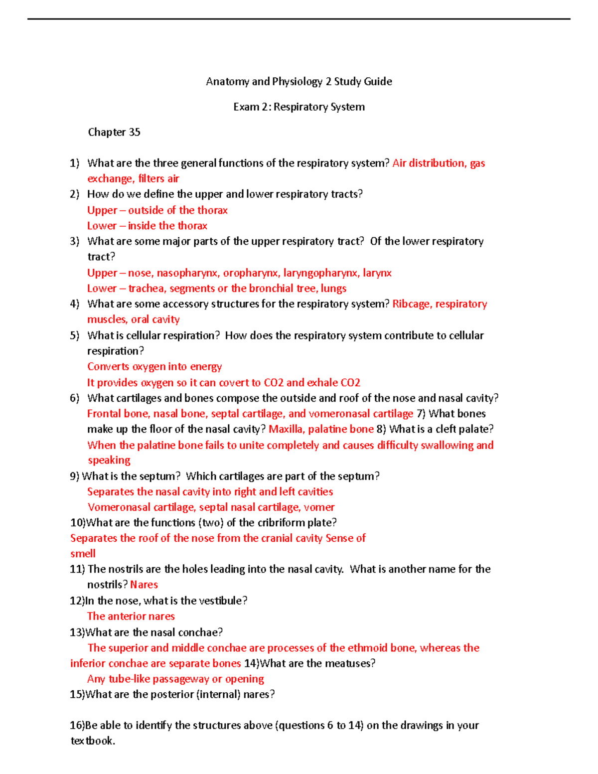 Anatomy And Physiology 2 Study Guide 2 3 Ediii BIOL 2402 StuDocu