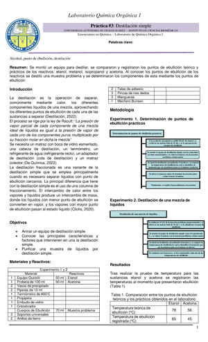 Práctica 11 Obtención de cloruro de ter-butilo - Laboratorio Química ...