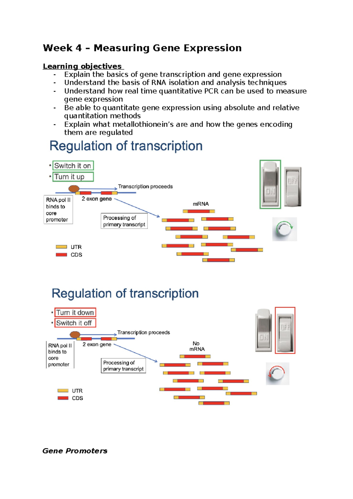 Week 4 Lecture Notes - Week 4 – Measuring Gene Expression Learning ...