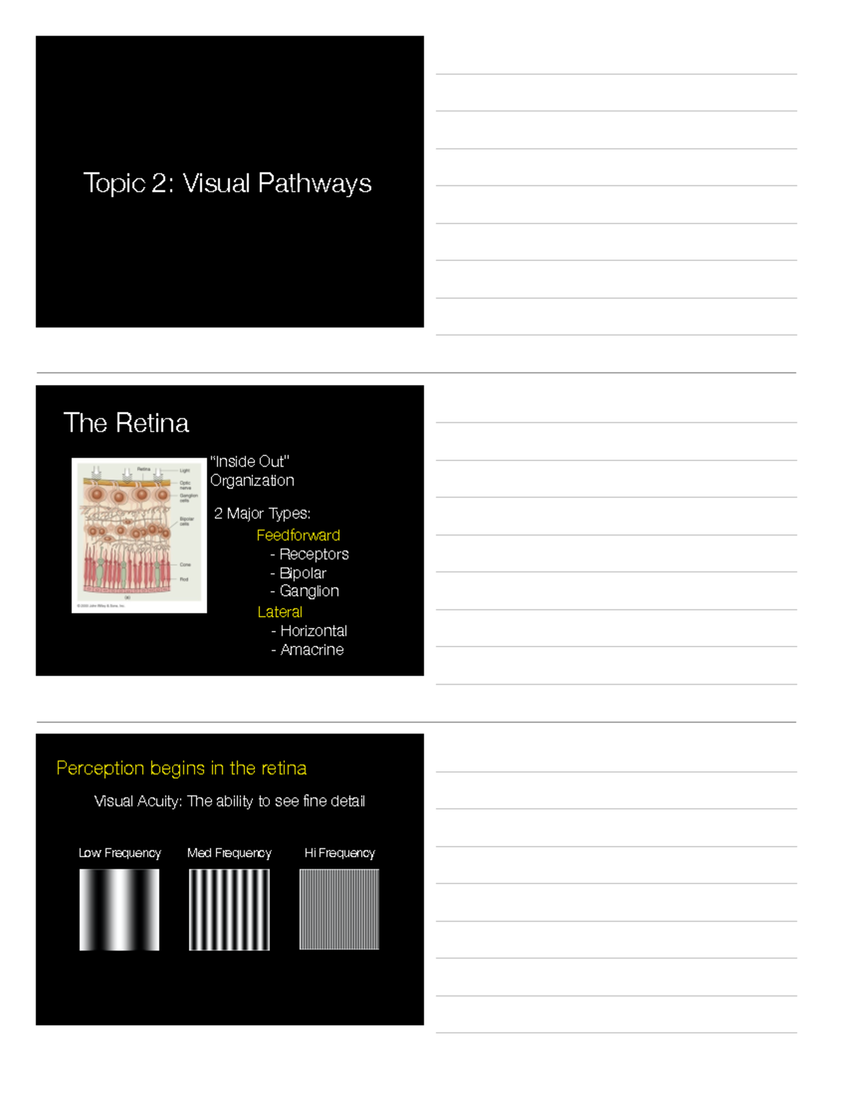 Lecture notes for topic 2 - Topic 2: Visual Pathways The Retina “Inside ...