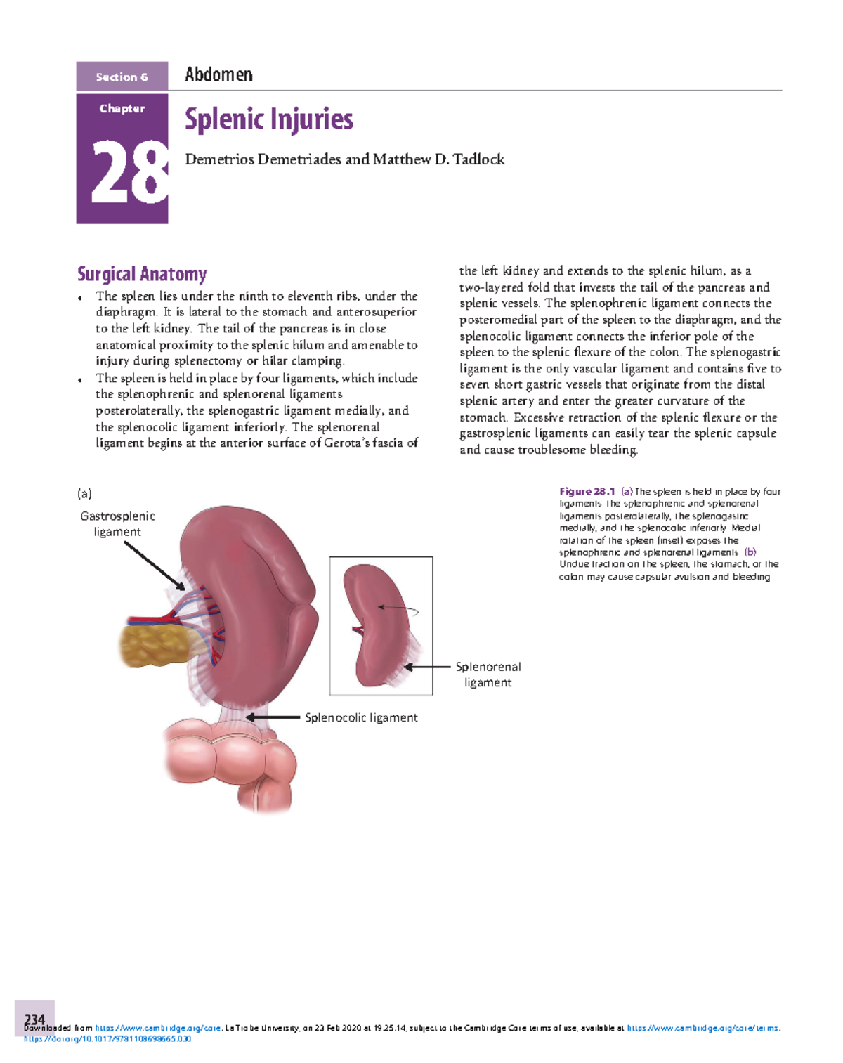 Splenic Injuries - Section 6 Chapter 28 Abdomen Splenic Injuries ...