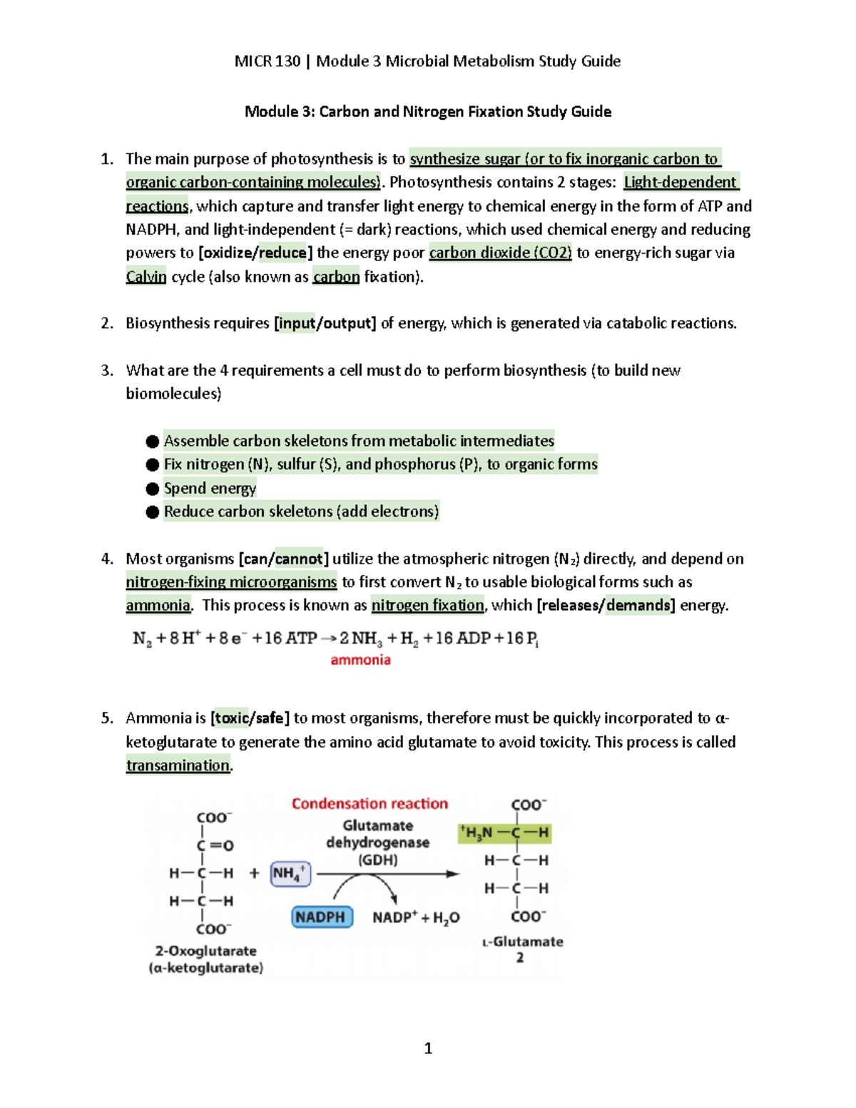 Module 3 Carbon and Nitrogen Fixation Study Guide - MICR 130 | Module 3 ...