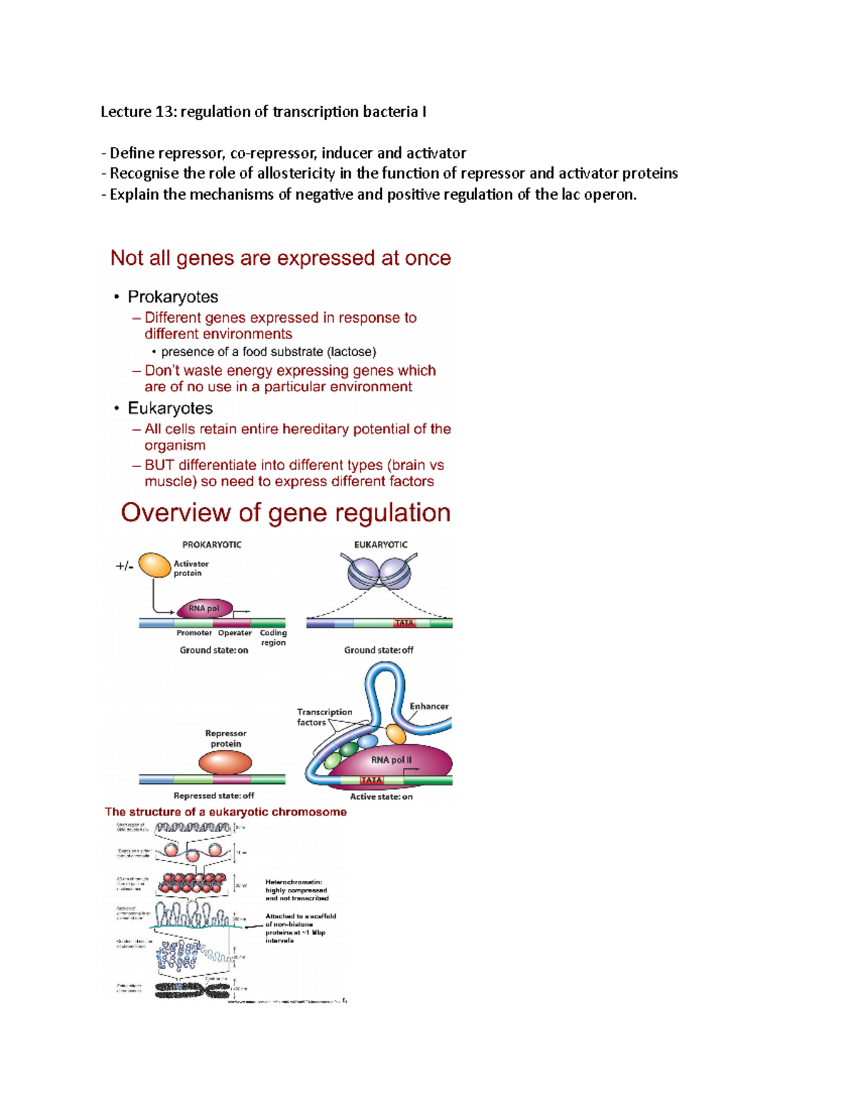 Week 7 - lecture notes and slides - Lecture 13: regulation of ...