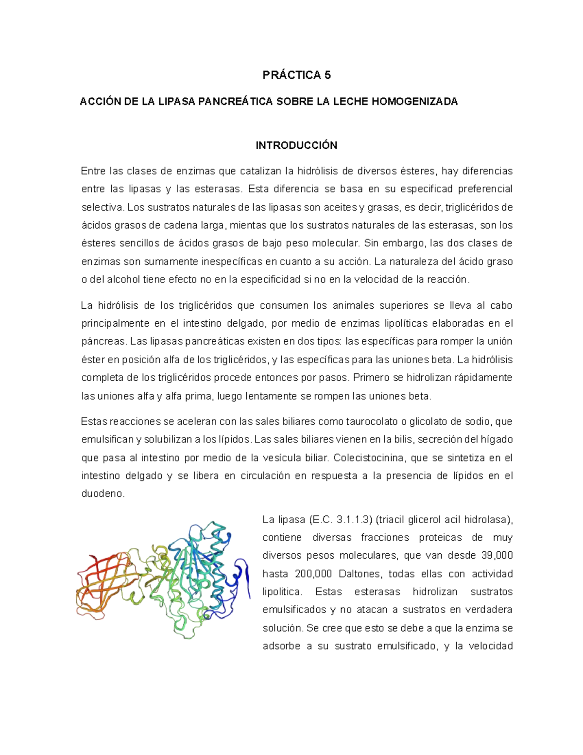 Práctica 5 - Accion de la lipasa pancreática sobre leche homogeneizada ...